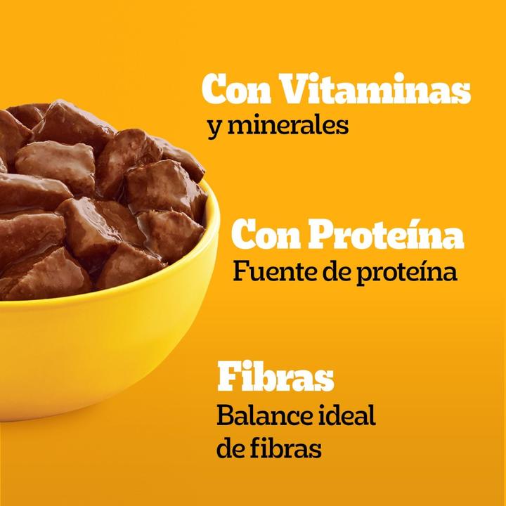 Alimento Húmedo para Perro Carne Molida 375 g - H-E-B México