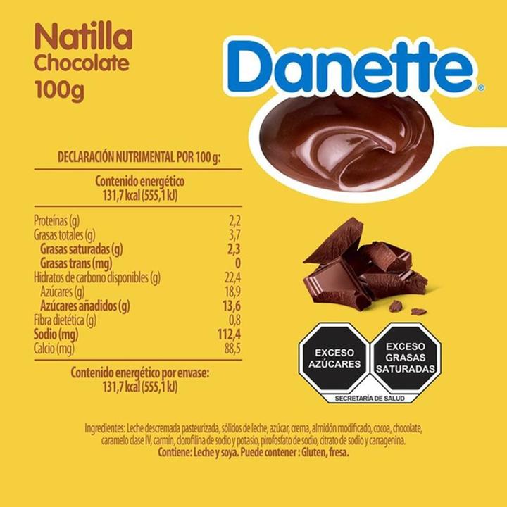 Danette Natilla Chocolate 100 g - H-E-B México