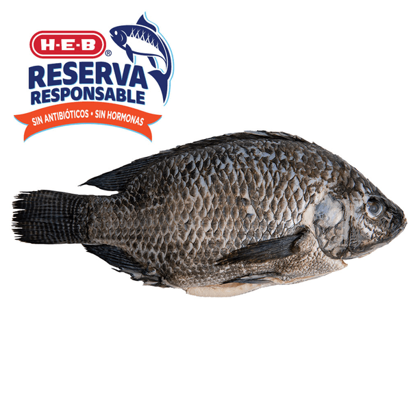 HEB Mojarra Nacional Fresca 1 kg - H-E-B México