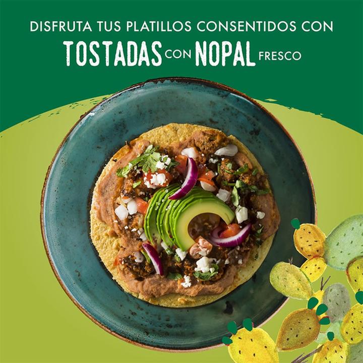 Señor Cactus Tostadas de Nopal 200 g - H-E-B México