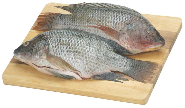 Mojarra Entera Congelada 1 Kg - Mi Tienda del Ahorro