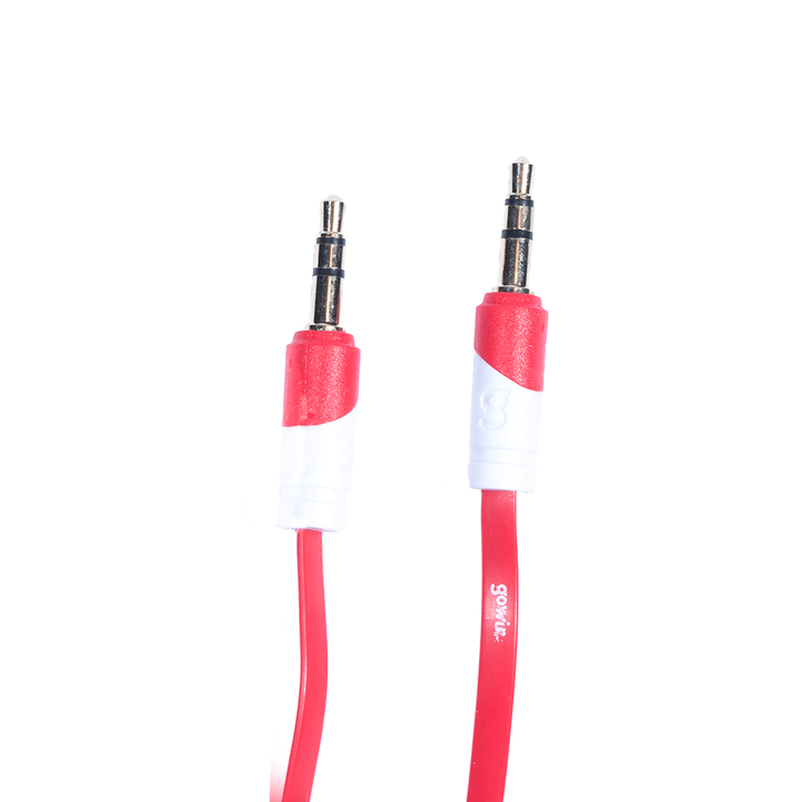Gowin Cable de Audio 1 M 1 Pz - H-E-B México