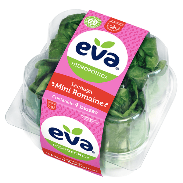 Eva Lechuga Hidroponica Mini Romaine 1 Pz - H-E-B México