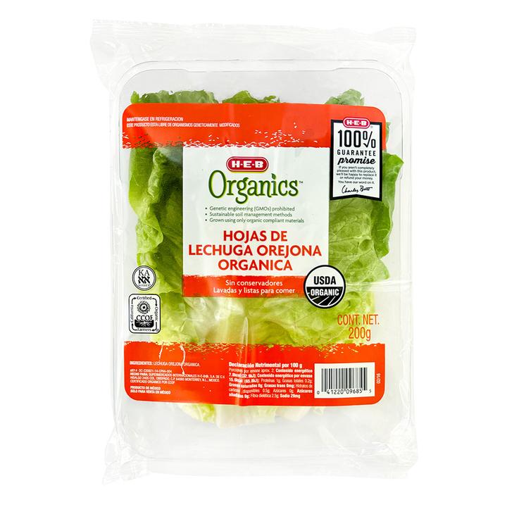 HEB Hojas de Lechuga Orejona Orgánica en Charolas - H-E-B México