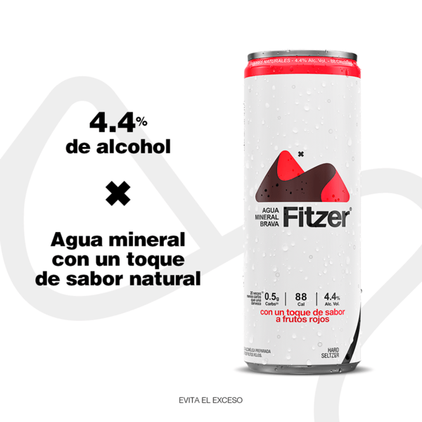 Fitzer Hard Seltzer 4 Pack Frutos Rojos 355 Ml - H-E-B México