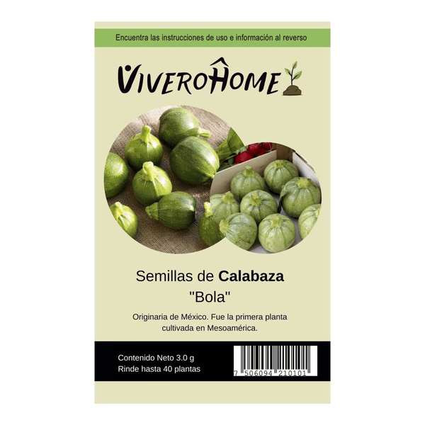 Vivero Home Semillas de Calabaza Bola 1 Pz - H-E-B México
