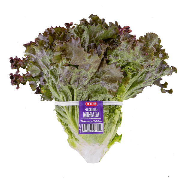 HEB Lechuga Morada (Sangria) Nal 1 pz - H-E-B México