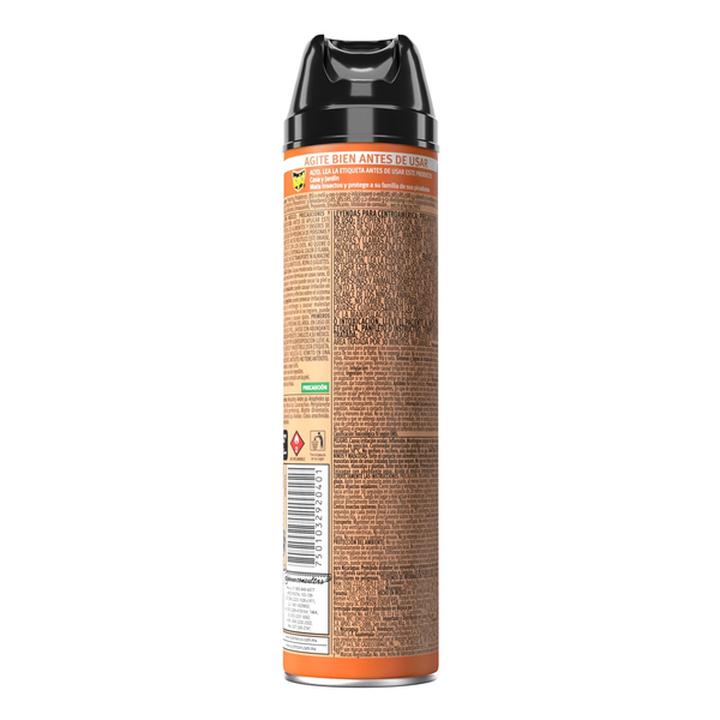 Raid Insecticida Casa Y Jardín 285 Ml - H-E-B México