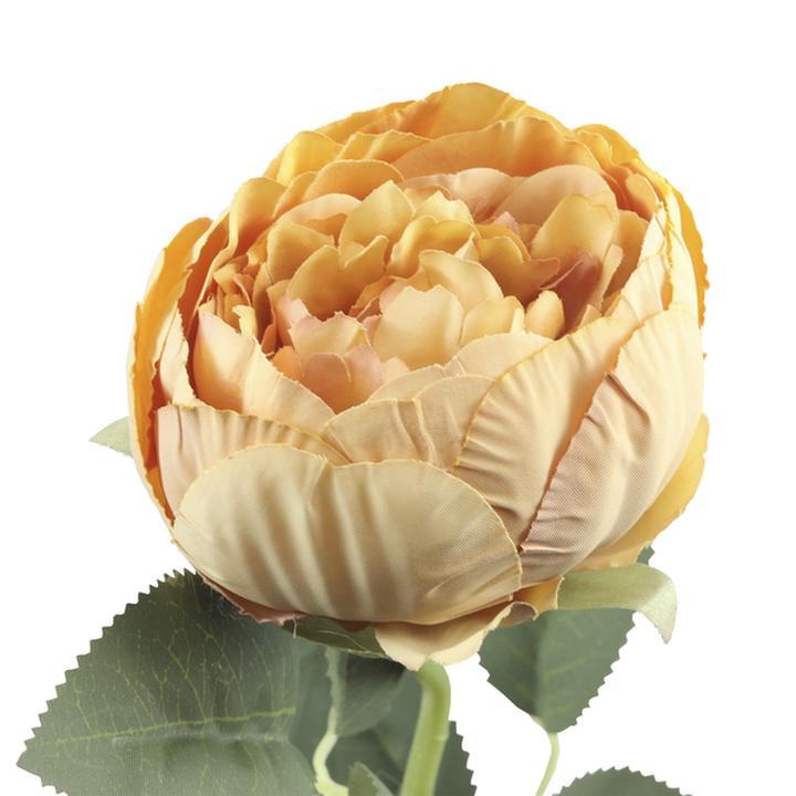 Haven And Key Peonia Melon 62 Cm Flores Melon 1 Pz - H-E-B México