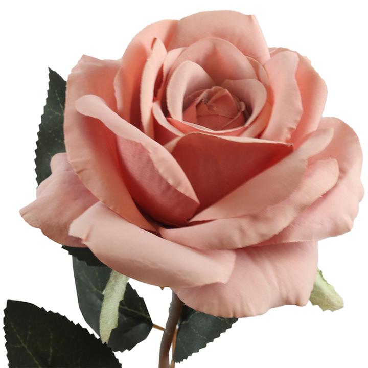 Haven And Key Rosa Grande Color Rosa 62 Cm Flores - H-E-B México