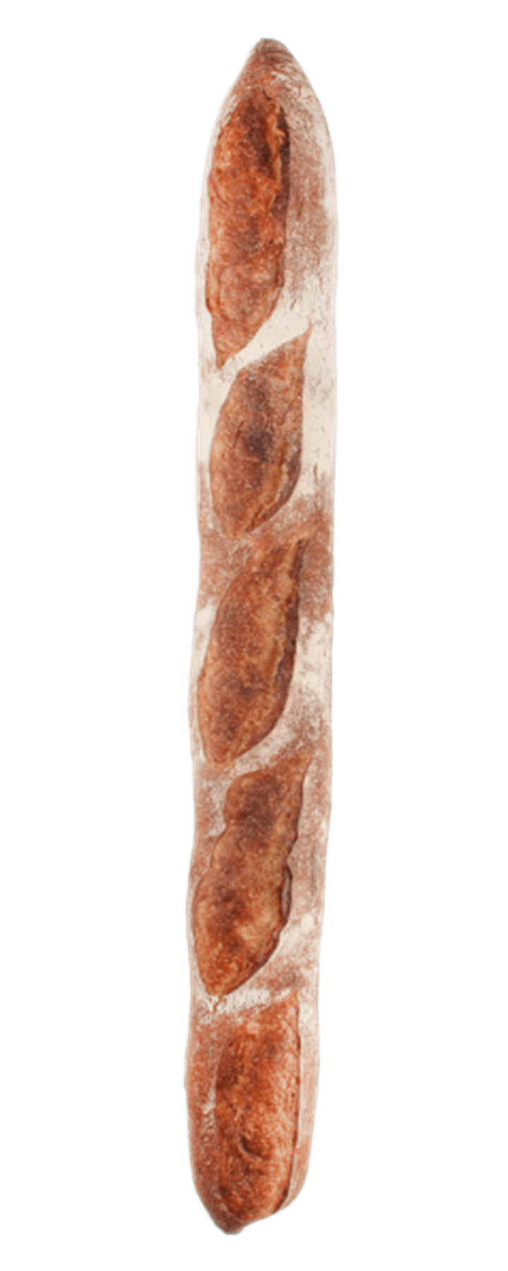 Bread Baguette Tradicional 1 pz - H-E-B México