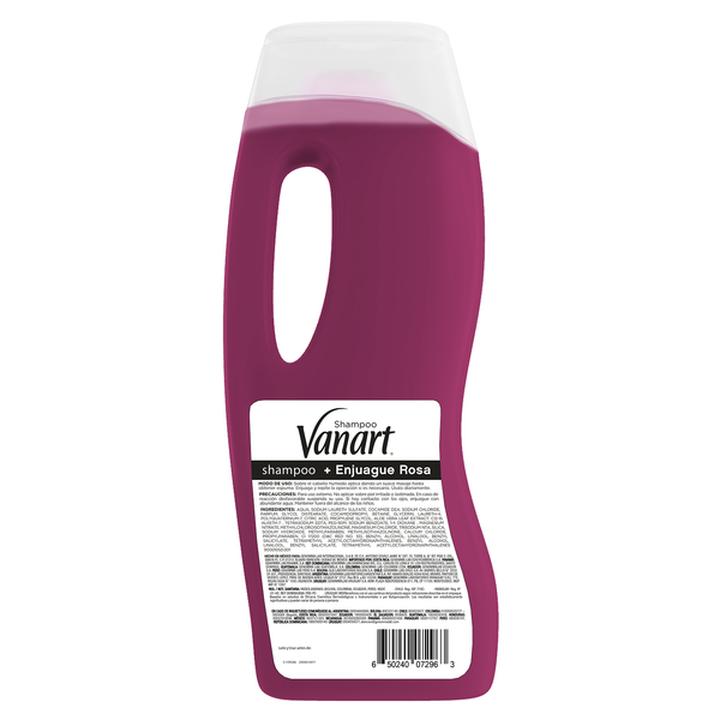 Vanart Shampoo Control Frizz 750 Ml - Mi Tienda del Ahorro