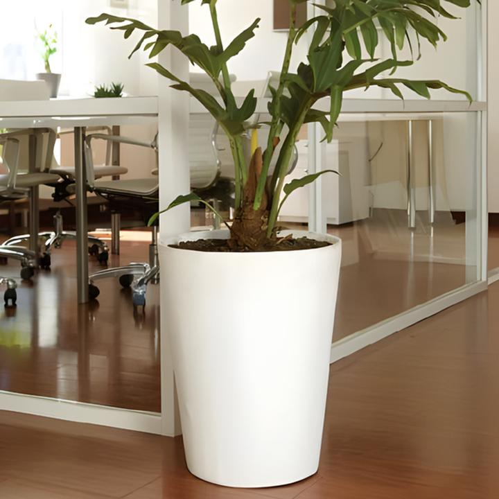 New Garden Maceta Gerbera 45 Blanco 1 Pz - H-E-B México