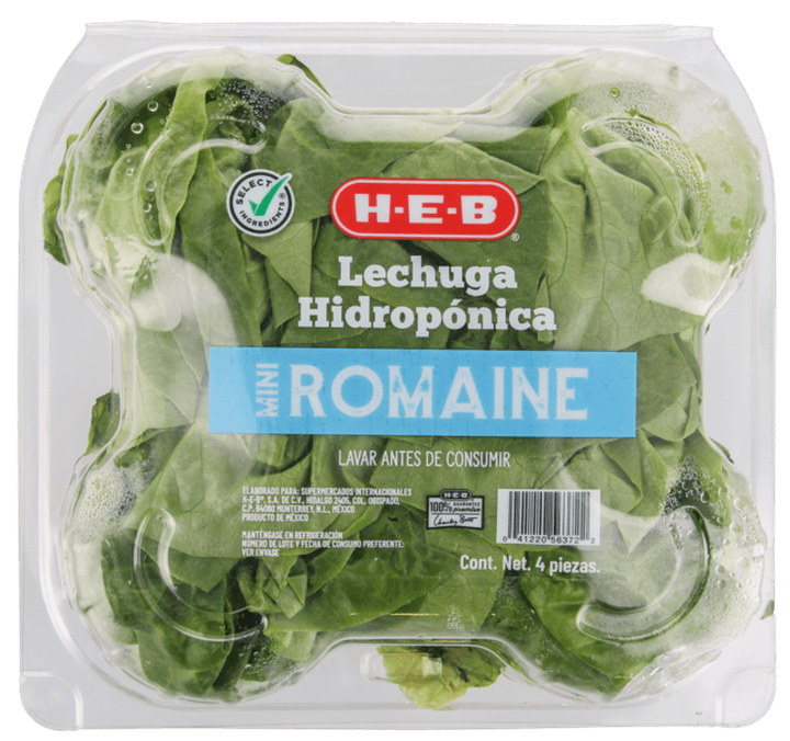 Heb Lechuga Mini Romaine Hidropónica 1 Cmt - H-E-B México