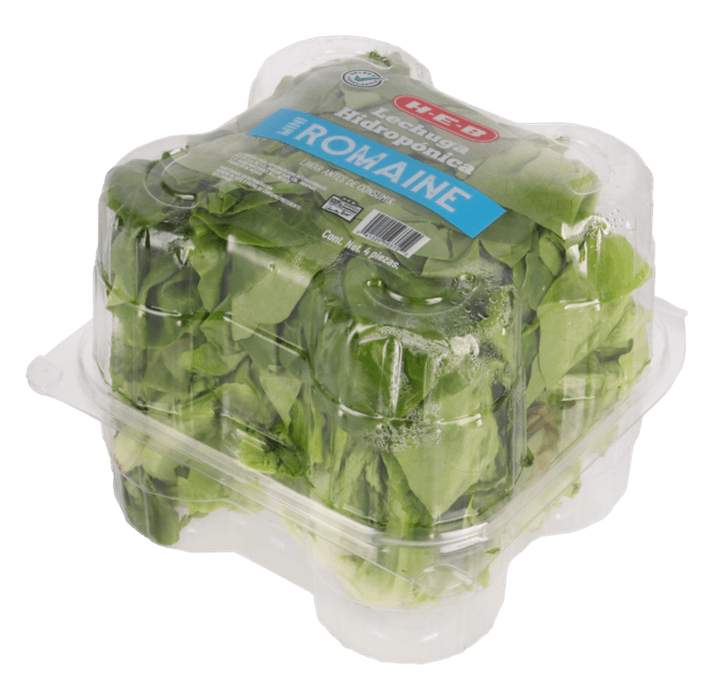Heb Lechuga Mini Romaine Hidropónica 1 Cmt - H-E-B México