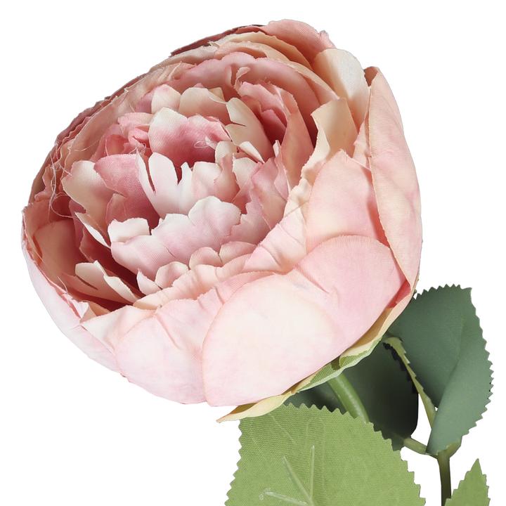 Haven And Key Peonia Rosa 62 Cm Flores Rosa 1 Pz - H-E-B México